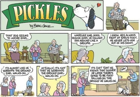 The Best 20 Pickles Comic Strips for Every Fan - Funny Comics