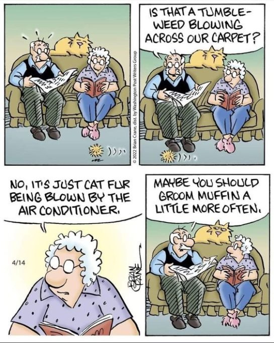 The Best 20 Pickles Comic Strips for Every Fan - Funny Comics