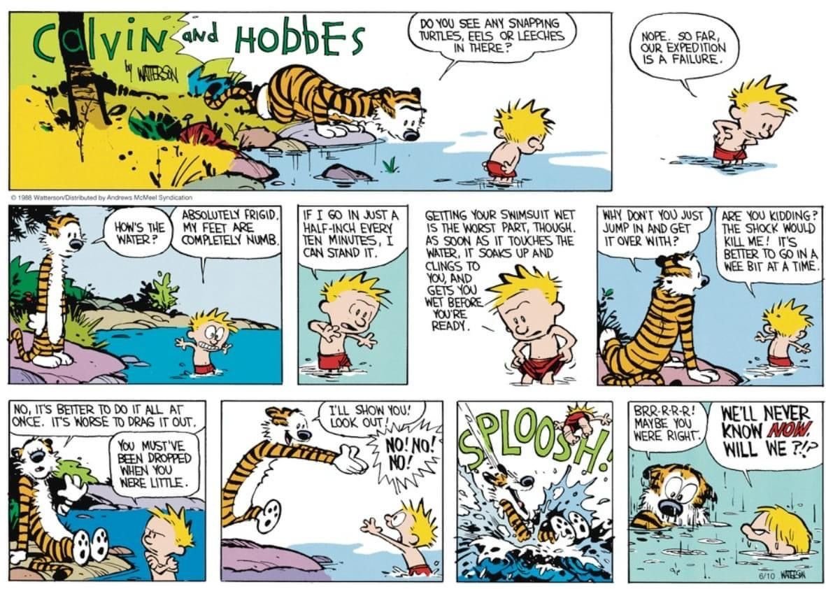 Funny Calvin and Hobbes Moments That Will Make You Smile - Funny Comics